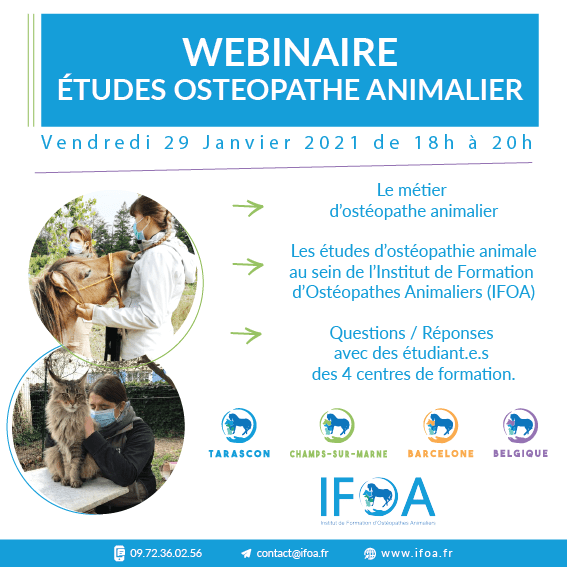 Home - Ifoa : institut de formation d'osteopathes animaliers Home - Ifoa : institut de formation d'osteopathes animaliers